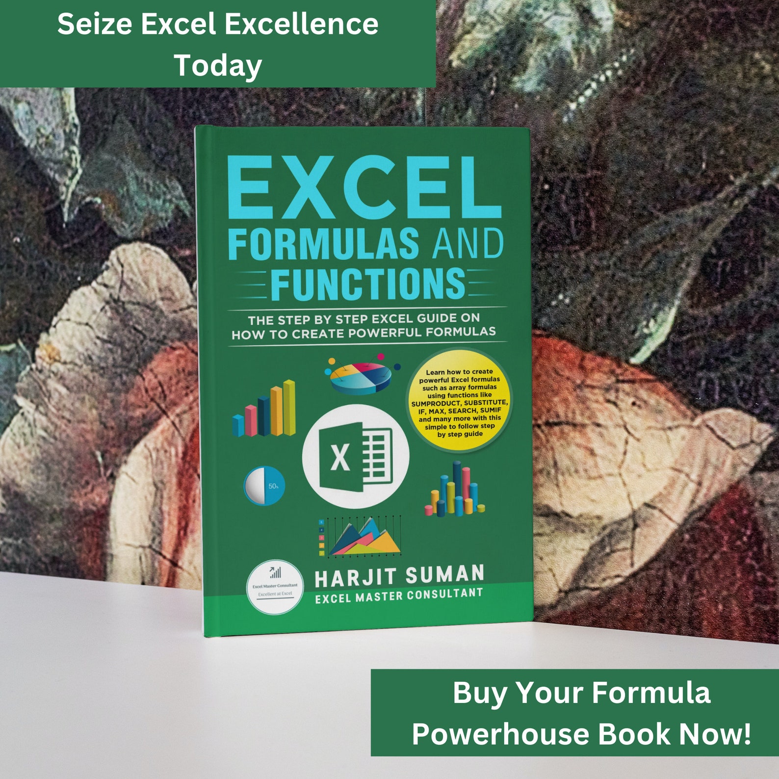 Excel Formulas and Functions: the Step by Step Excel Guide on How to Create Powerful Formulas ...