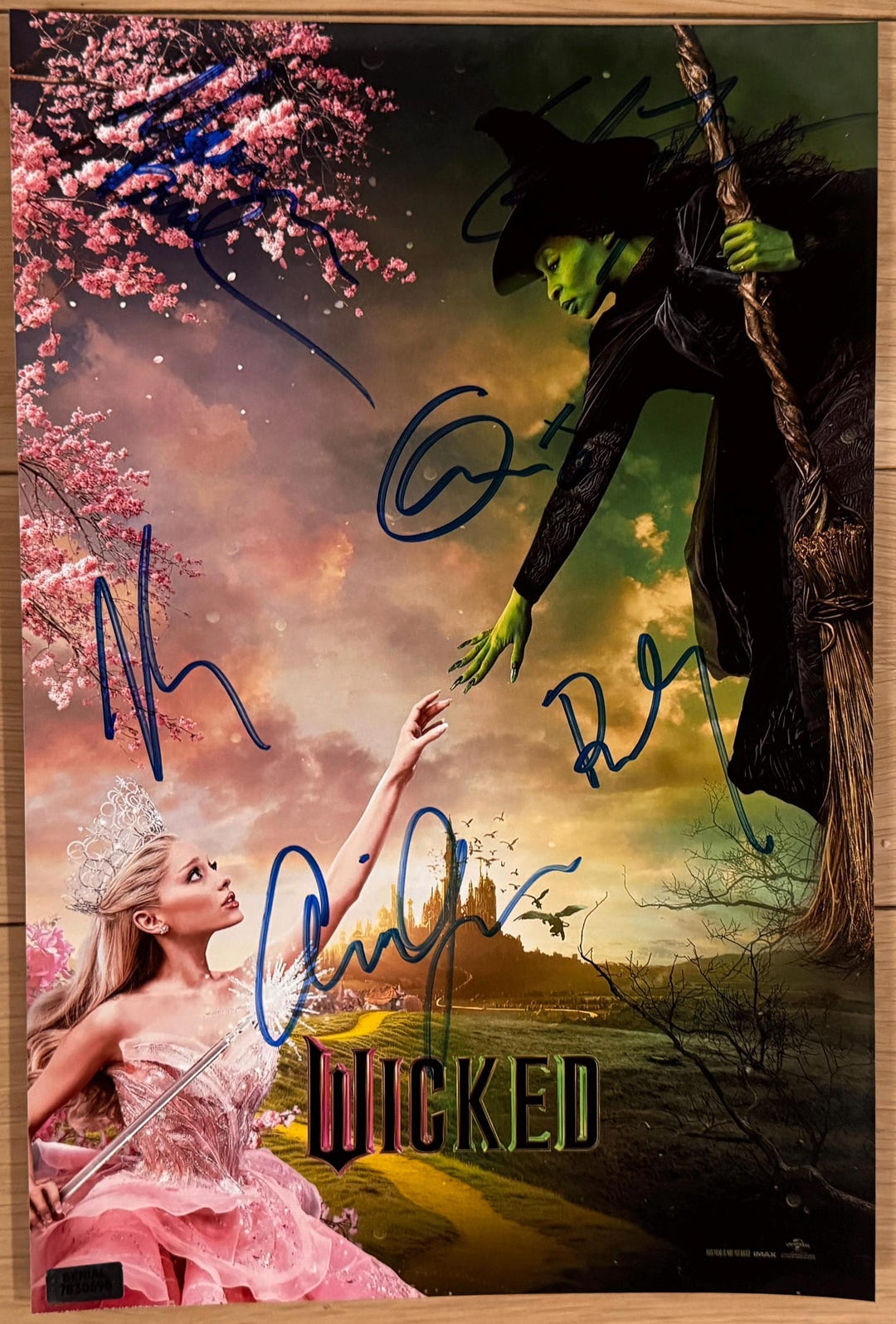 Wicked Cast Signed Autographed 8x12 Inch Photo + COA - Etsy