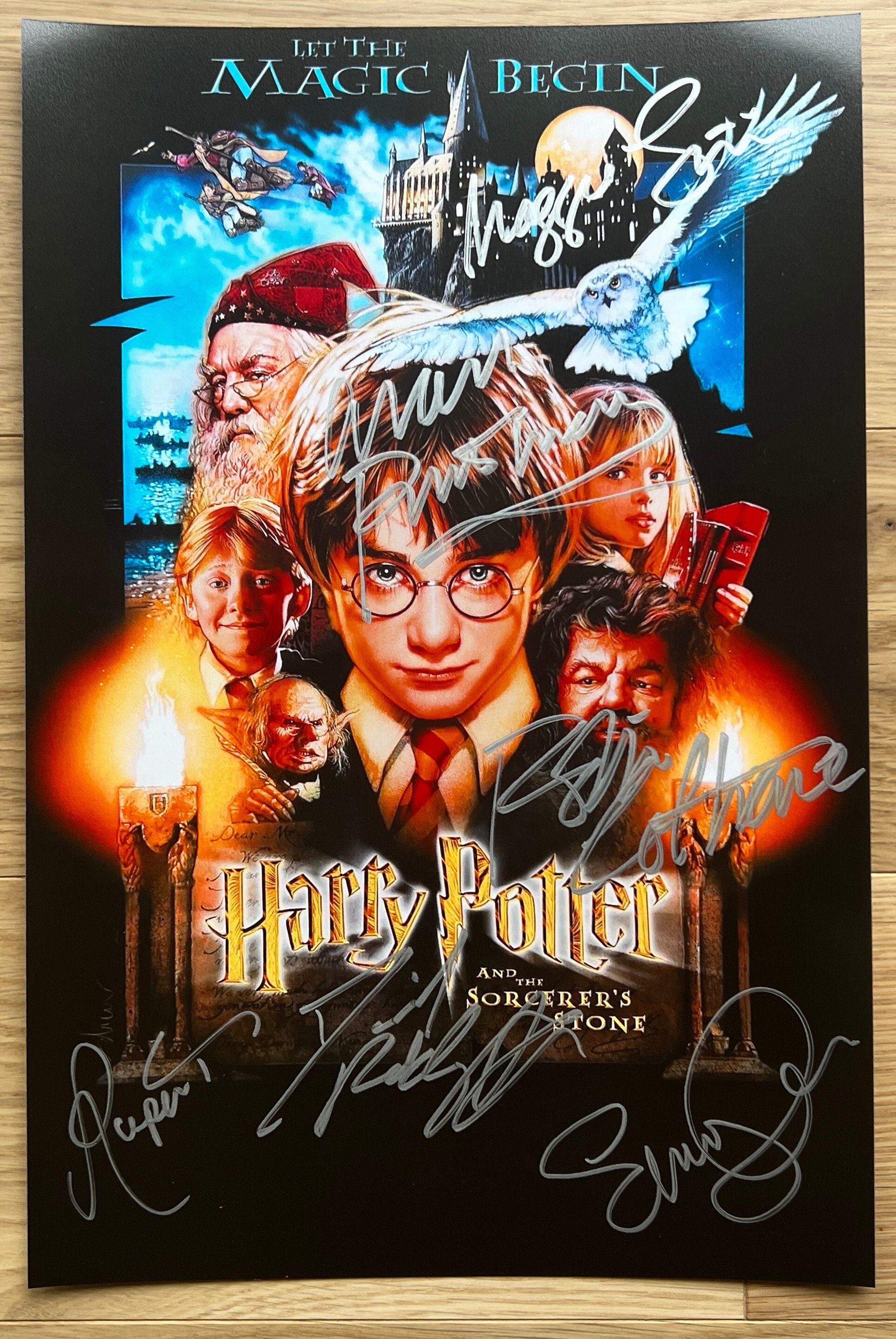 Harry Potter And The Sorcerers Stone Cast