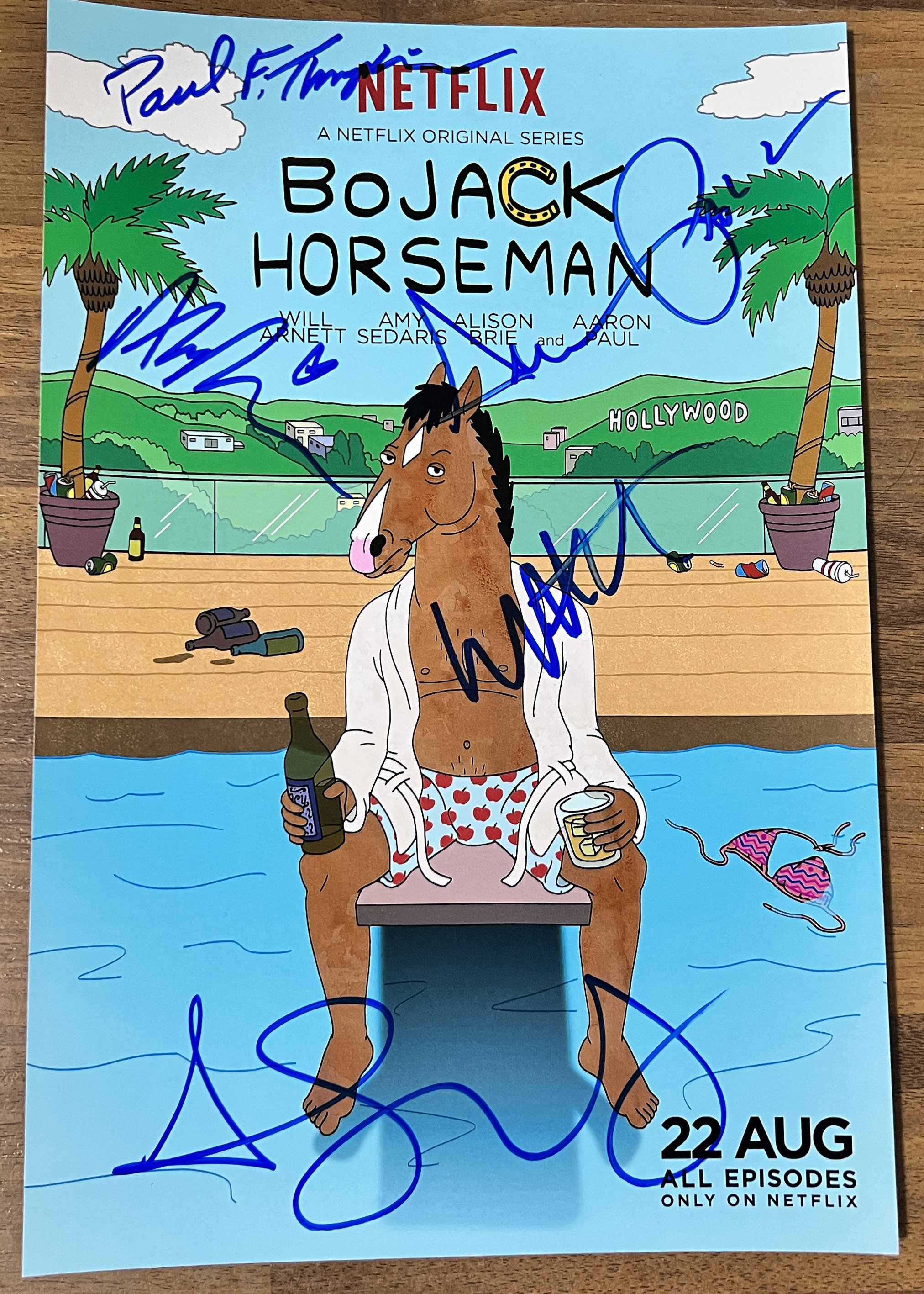 Bojack Horseman Cast Signed Autographed 8x12 Inch Photo + COA - Etsy
