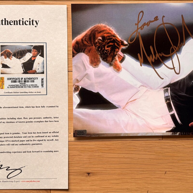 Jennifer Walsh Singer Performs With Michael Jackson - Etsy Canada