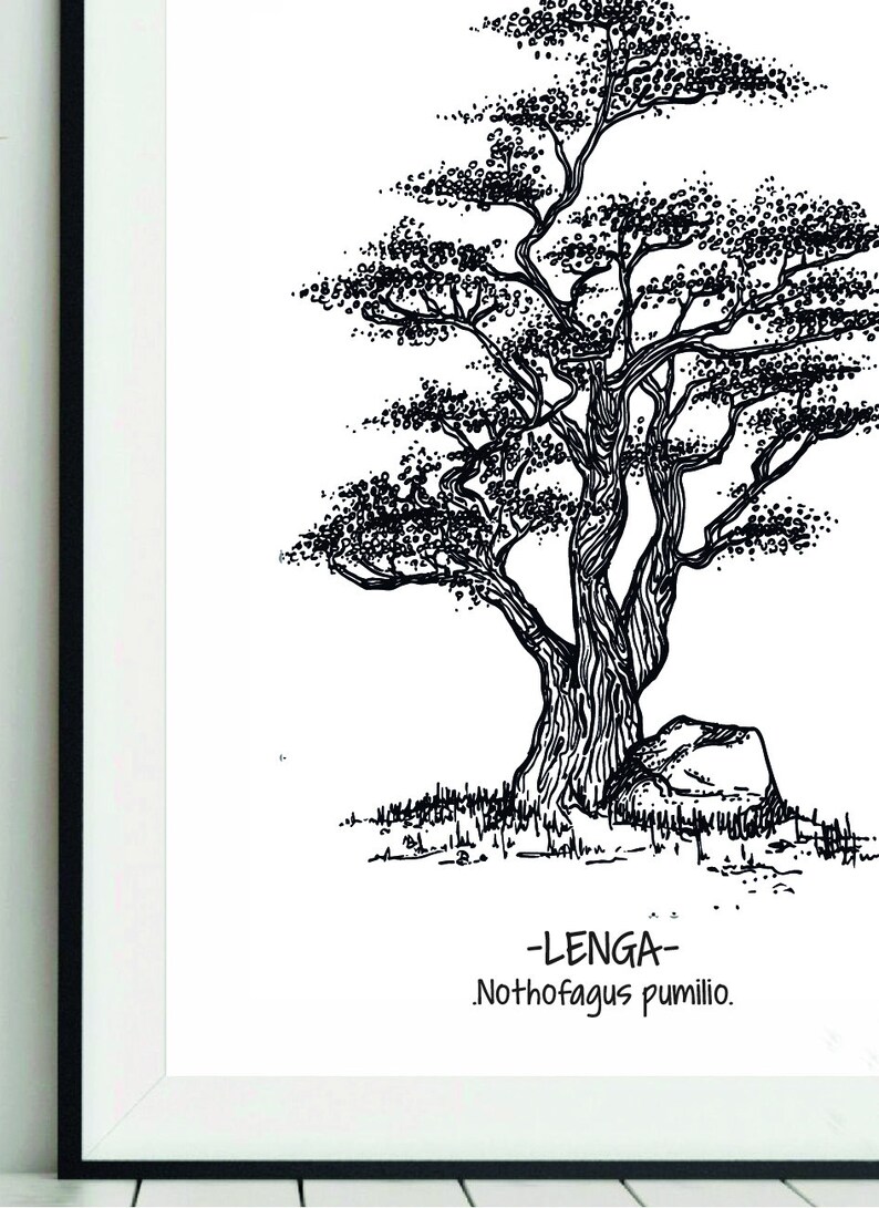 Lenga Tree / Chilean Forest / Black and White Nature Art Printable ...