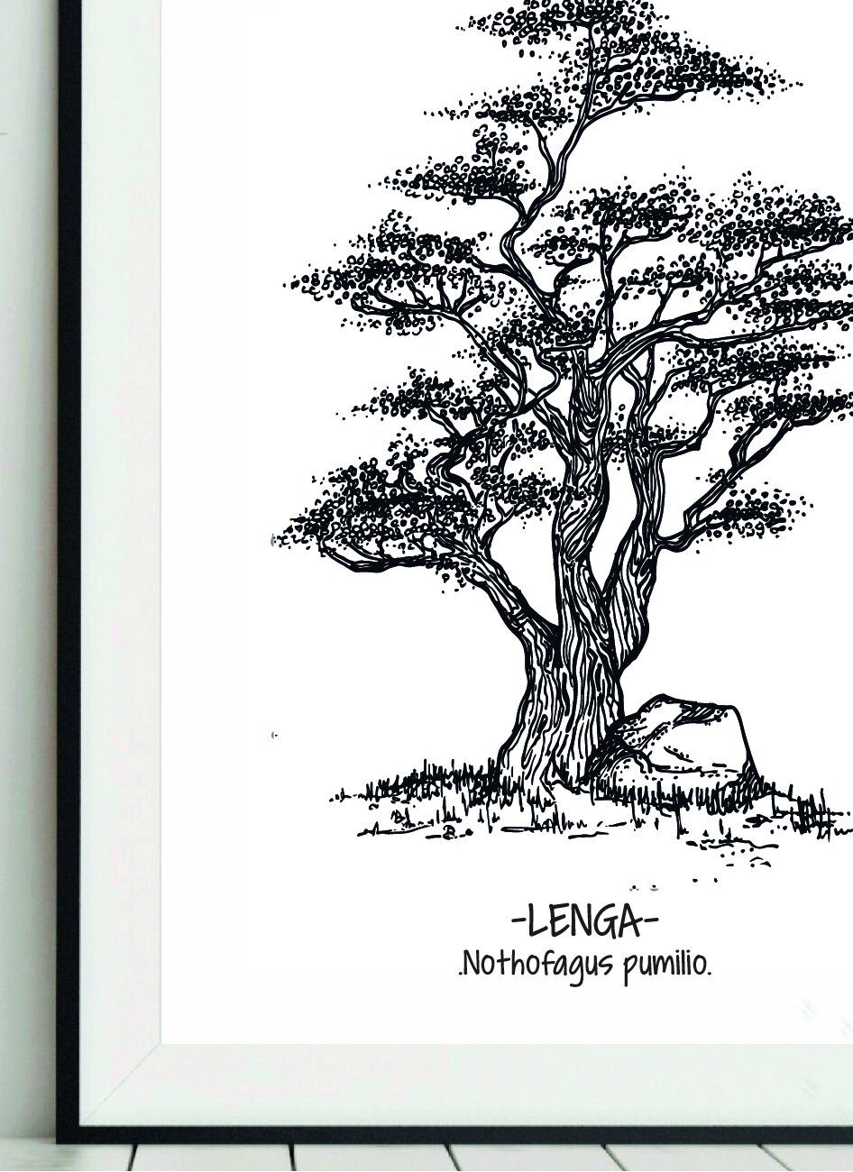 Lenga Tree / Chilean Forest / Black and White Nature Art Printable ...