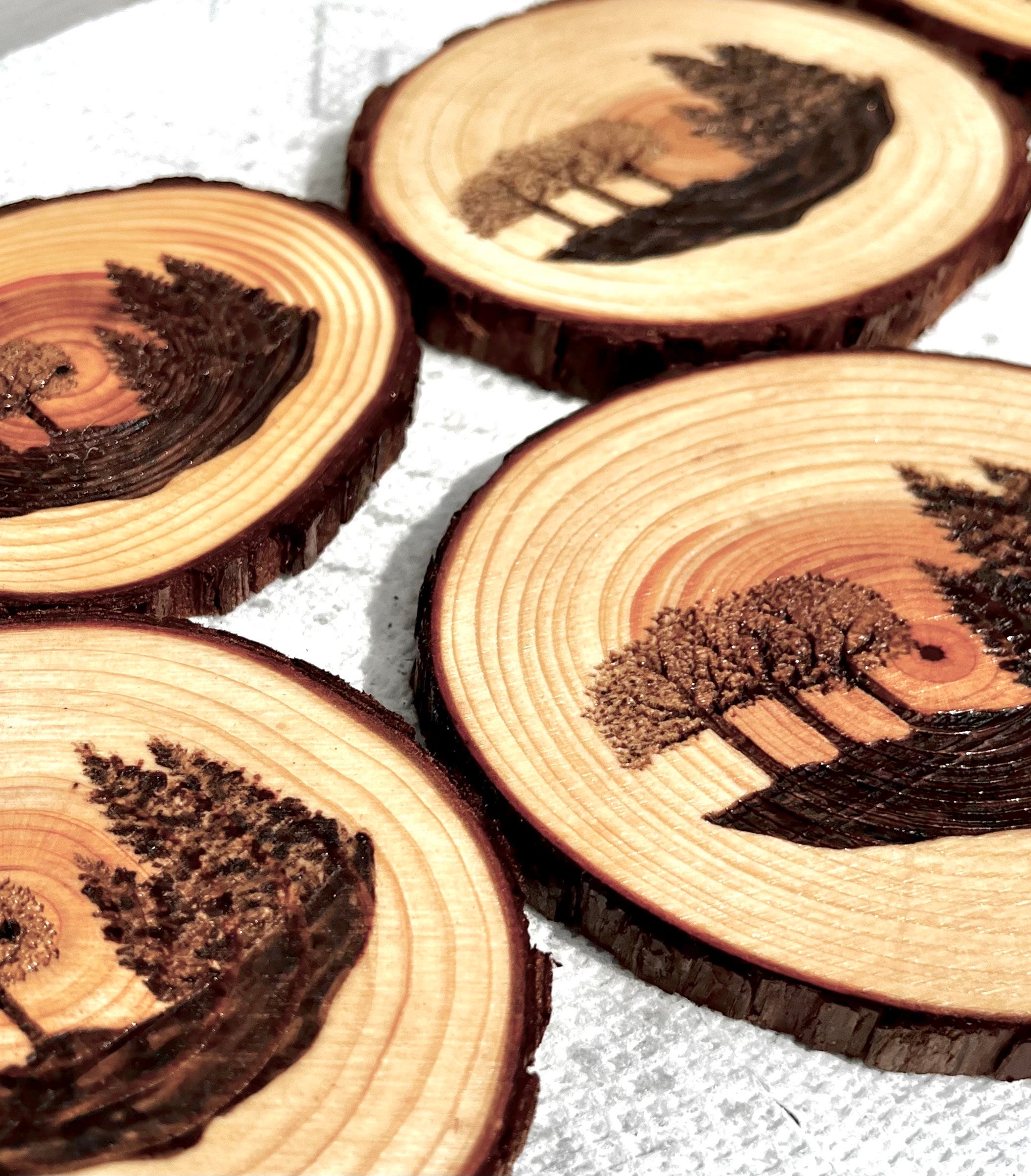 Engraved Wood Tree Coasters Round Forest Mountain Decor Pine Tree Oak ...