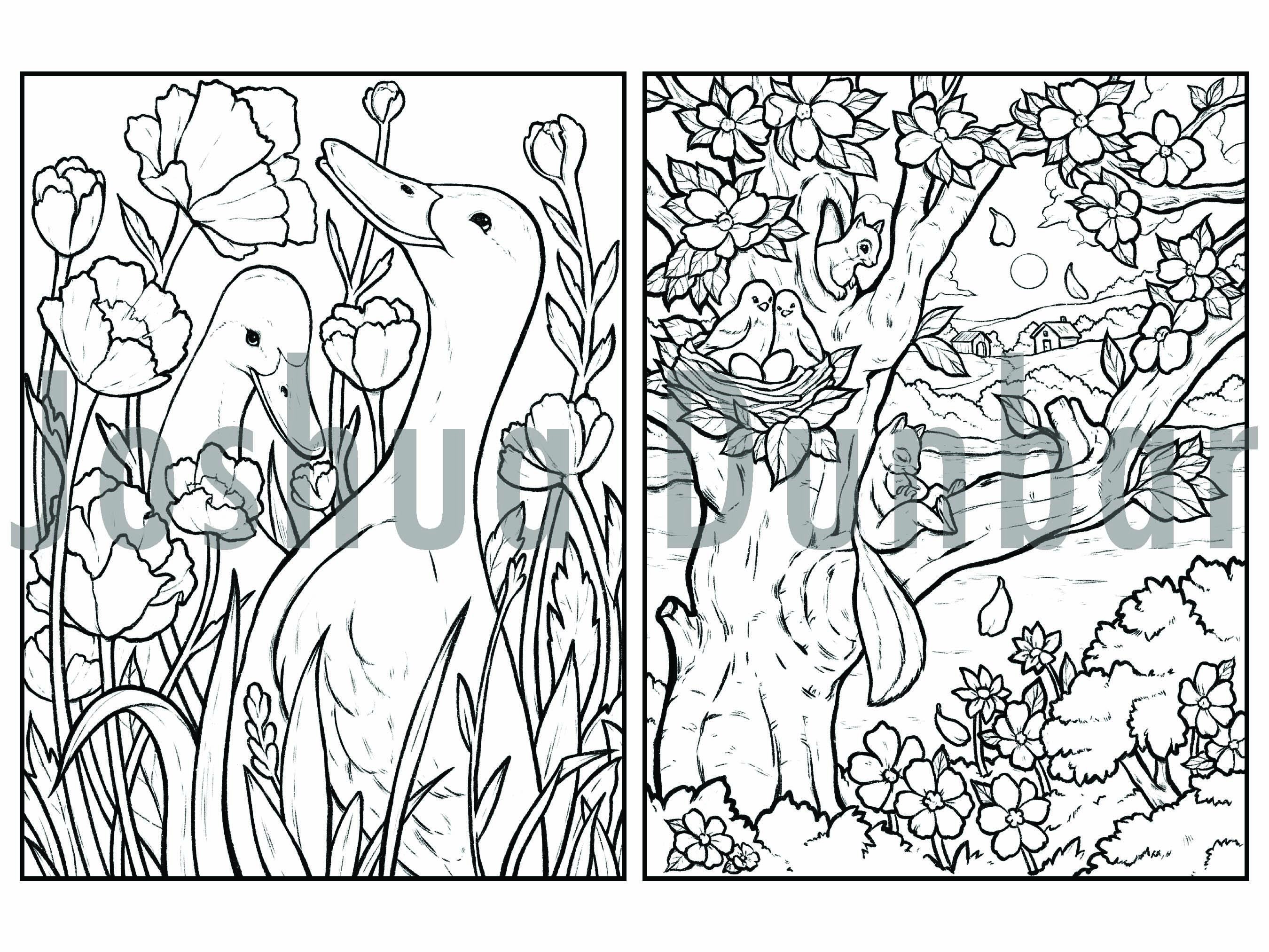 Hello Country! Spring Adult Coloring Book (PDF Download) - Etsy