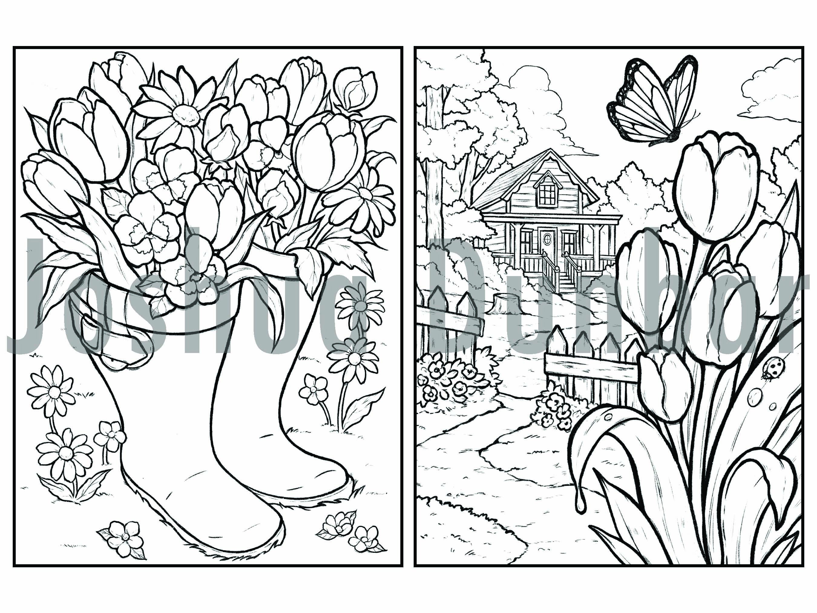 Hello Country! Spring Adult Coloring Book (PDF Download) - Etsy