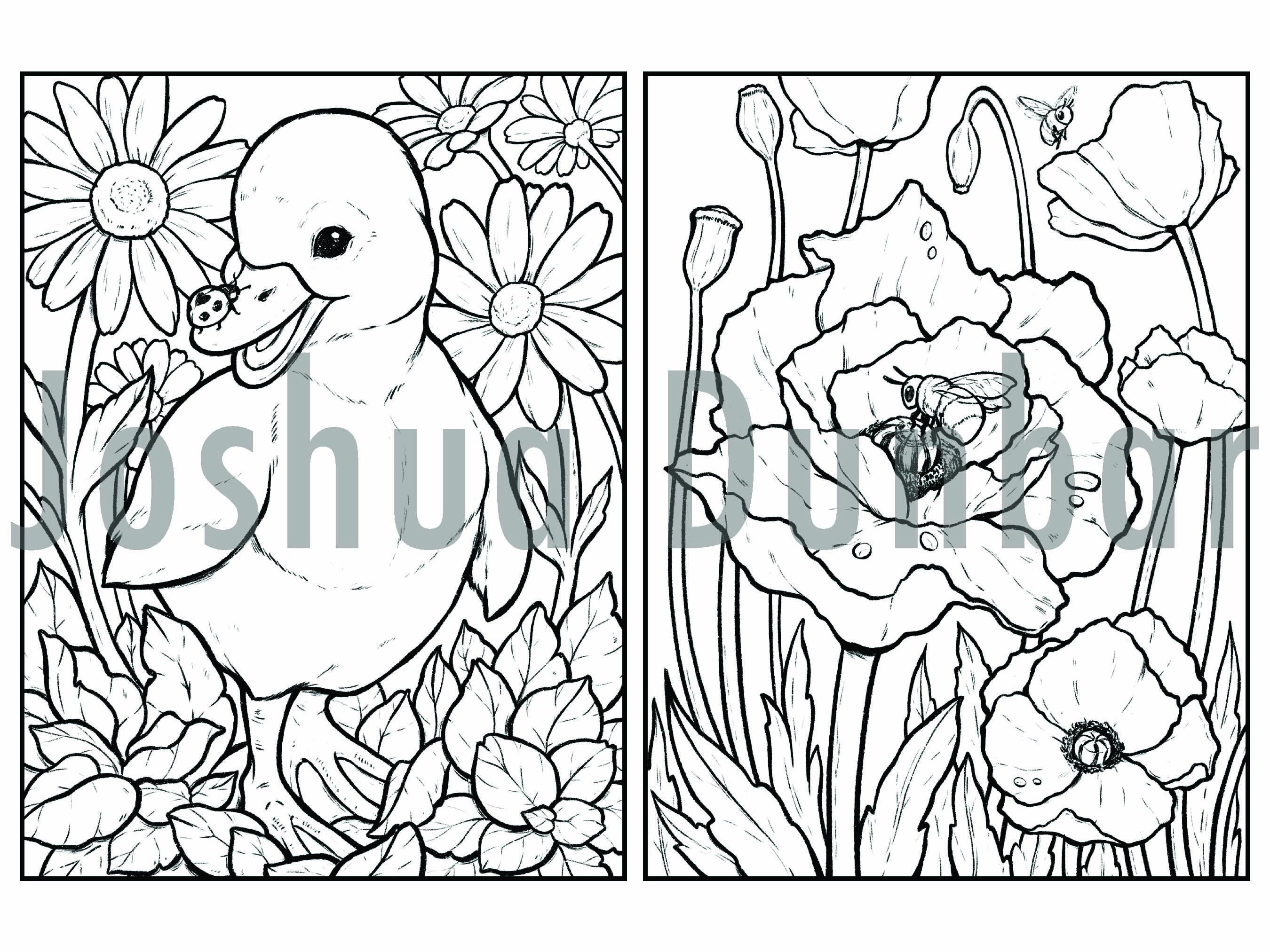 Hello Country! Spring Adult Coloring Book (PDF Download) - Etsy