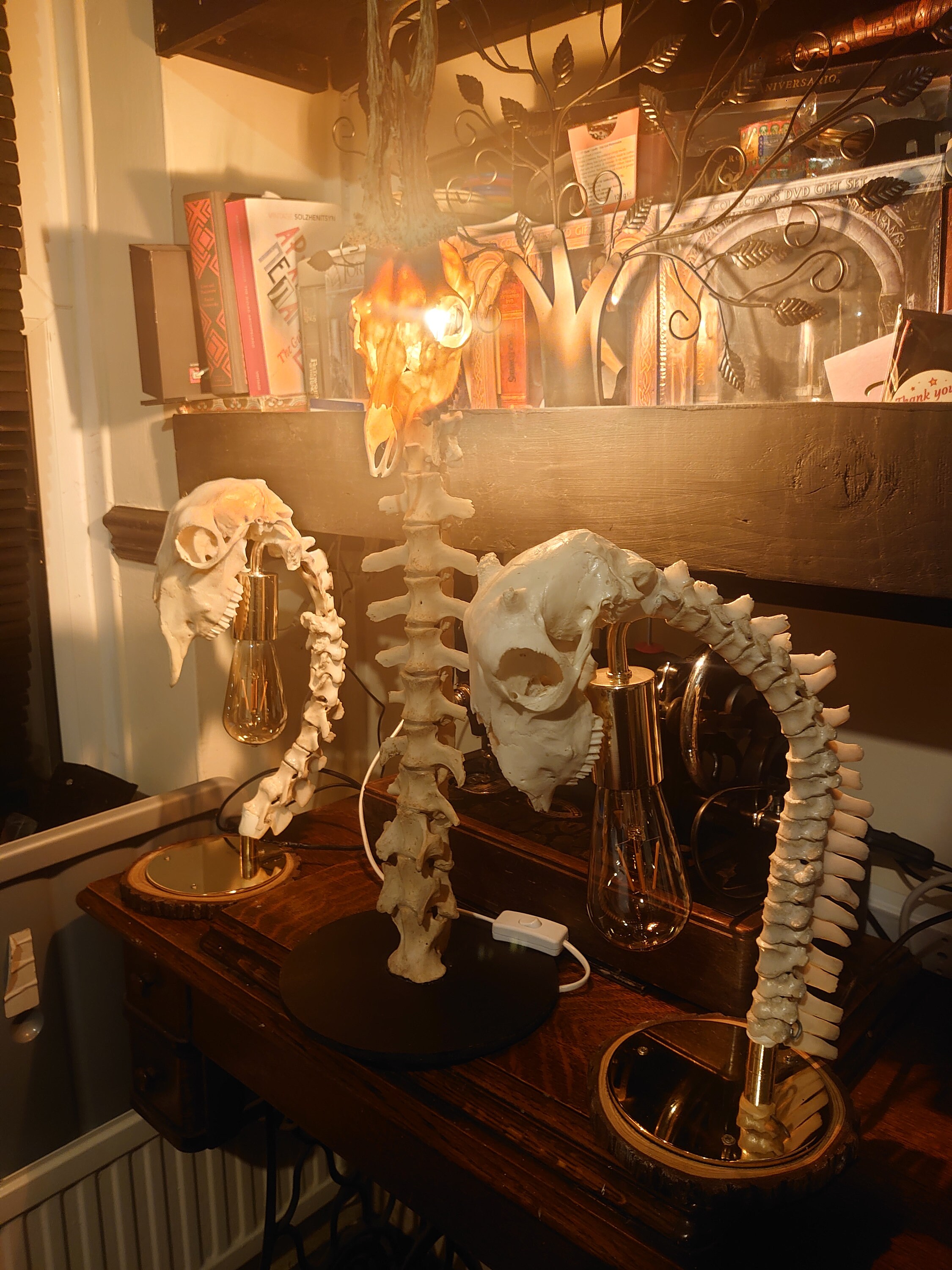 Articulated Sheep Skull and Spine Lamp Lemmy the Lamb - Etsy
