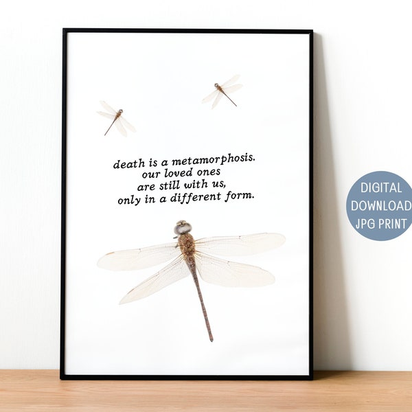 Dragonfly Quote - Etsy