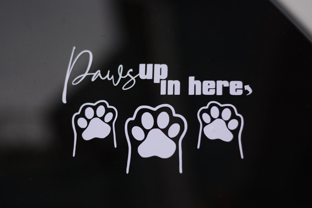 Pet Lover Car Truck Decal Sticker Paws up in Here - Etsy