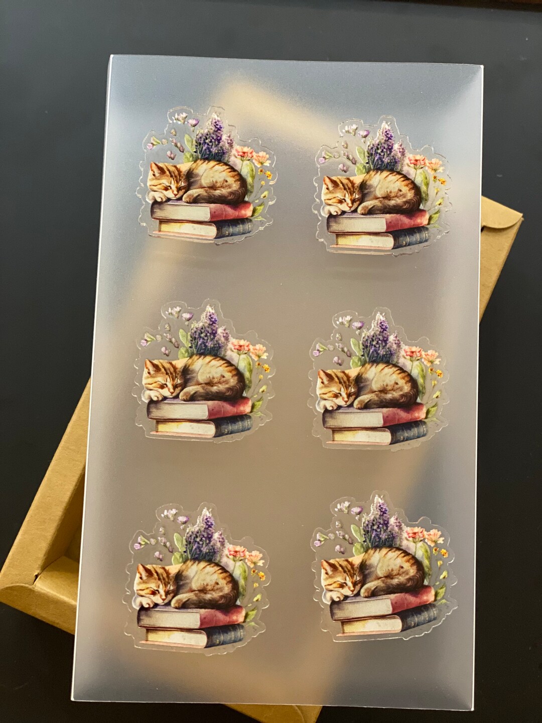 Sleeping Cat on Books Magnet Set Cat Magnets Reader Gifts Book Magnets ...