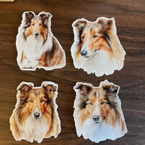 Super Cute Dog Breed Stickers | Collie Stickers | Collie Sticker ...