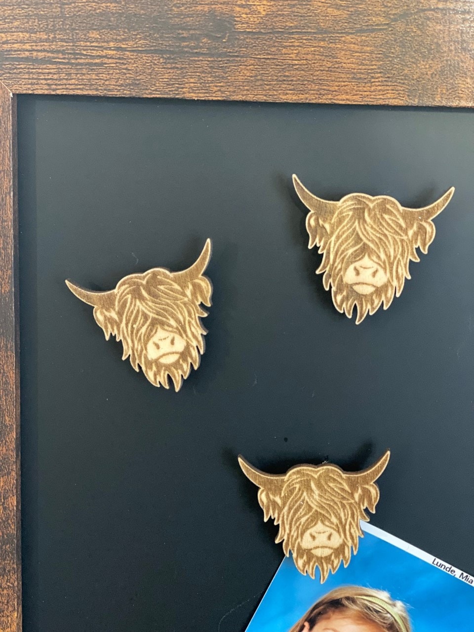Farmhouse Highland Cow Magnet Set Cow Magnets Highland Cow - Etsy
