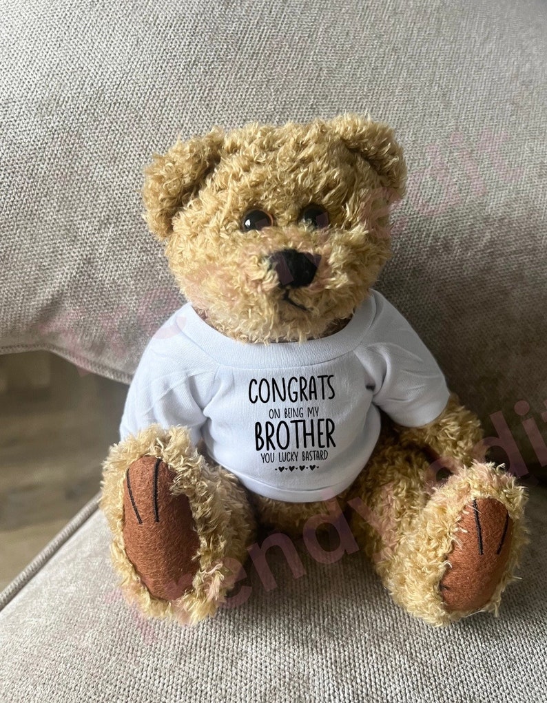 Funny Brother Teddy Bear Gift, Rude Adult Teddy Bear for Brother ...