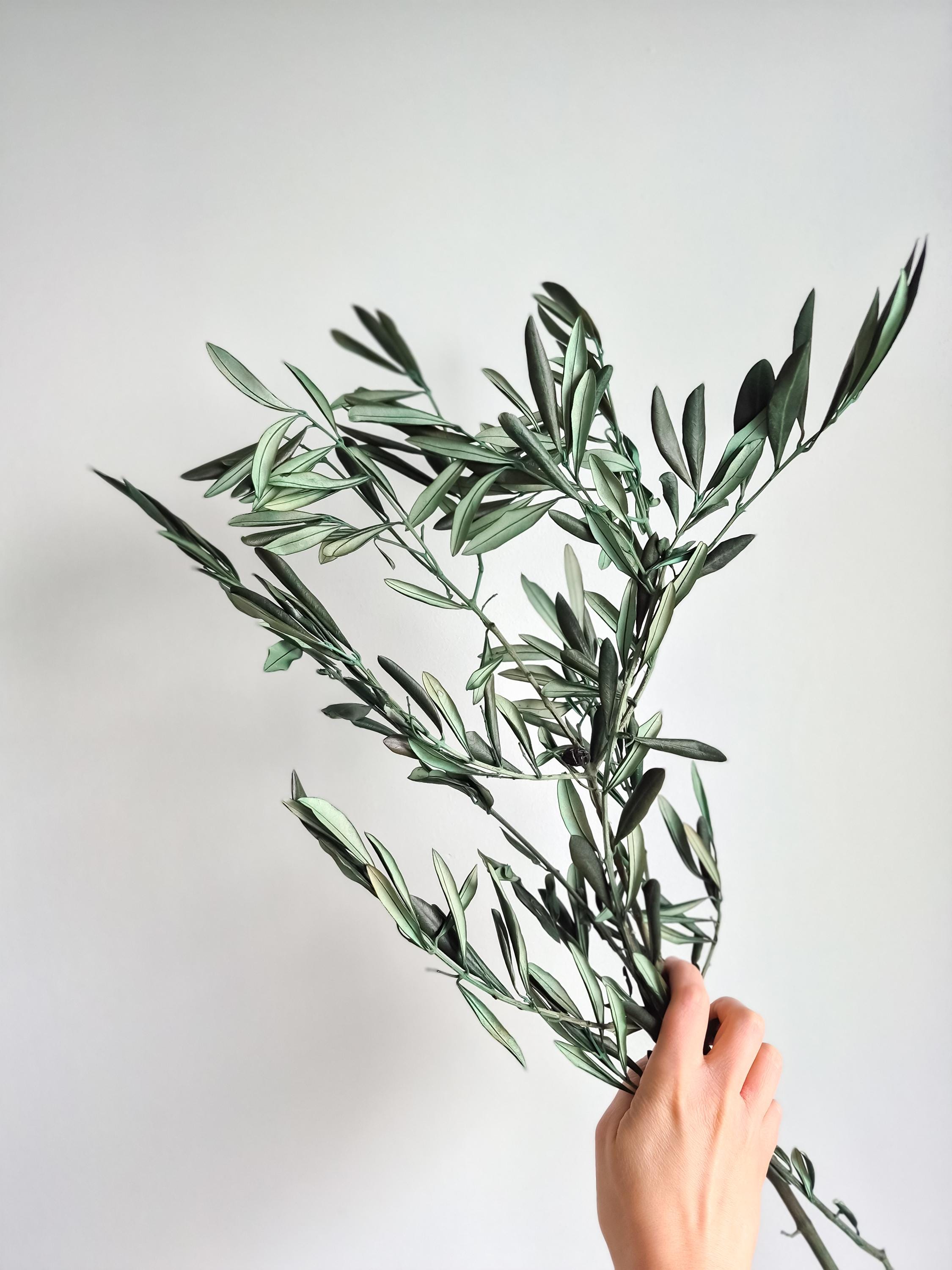 Olive Branch Wedding Decor, Preserved Olive Branches for Centerpieces ...