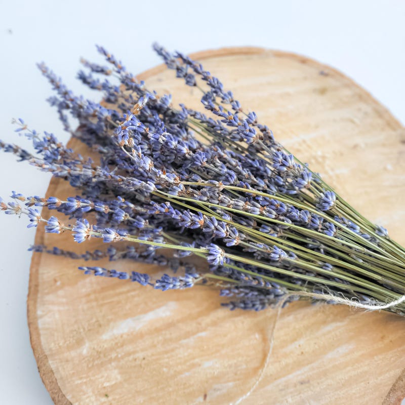 Lavender Sprigs - Etsy