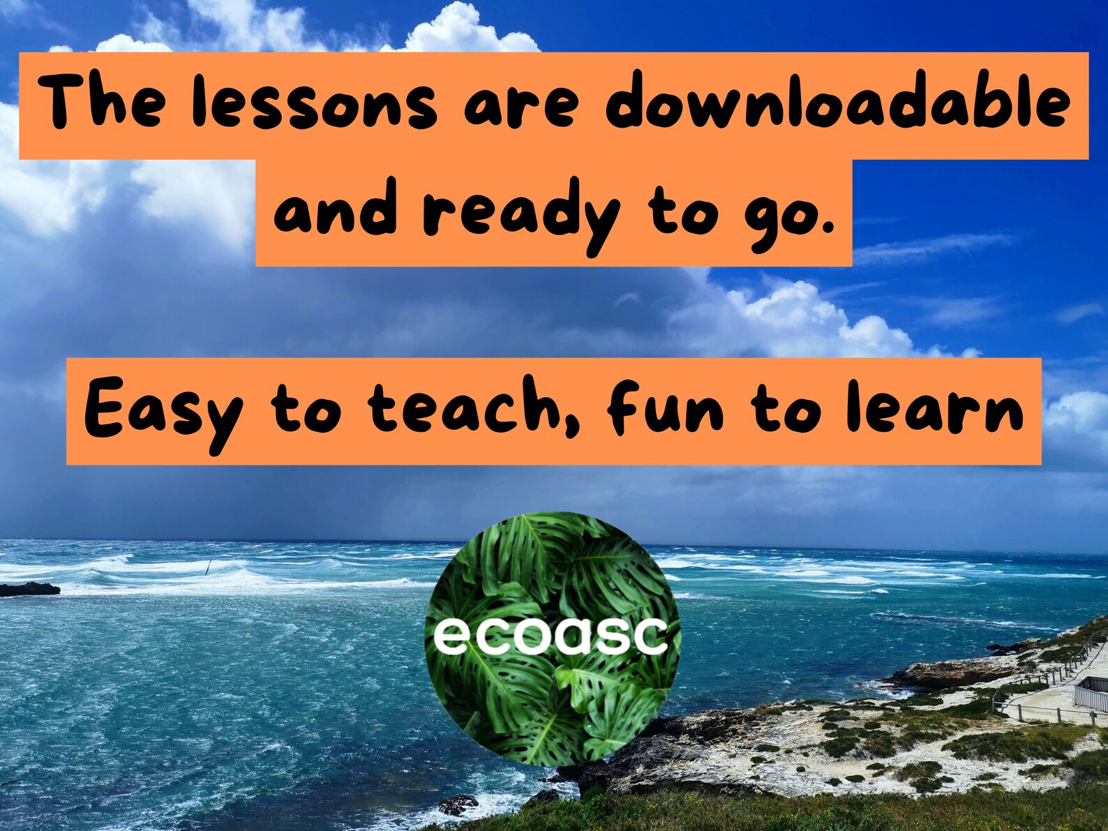 Marine Biology Home School Science Lessons: Ages 9-11 - Etsy