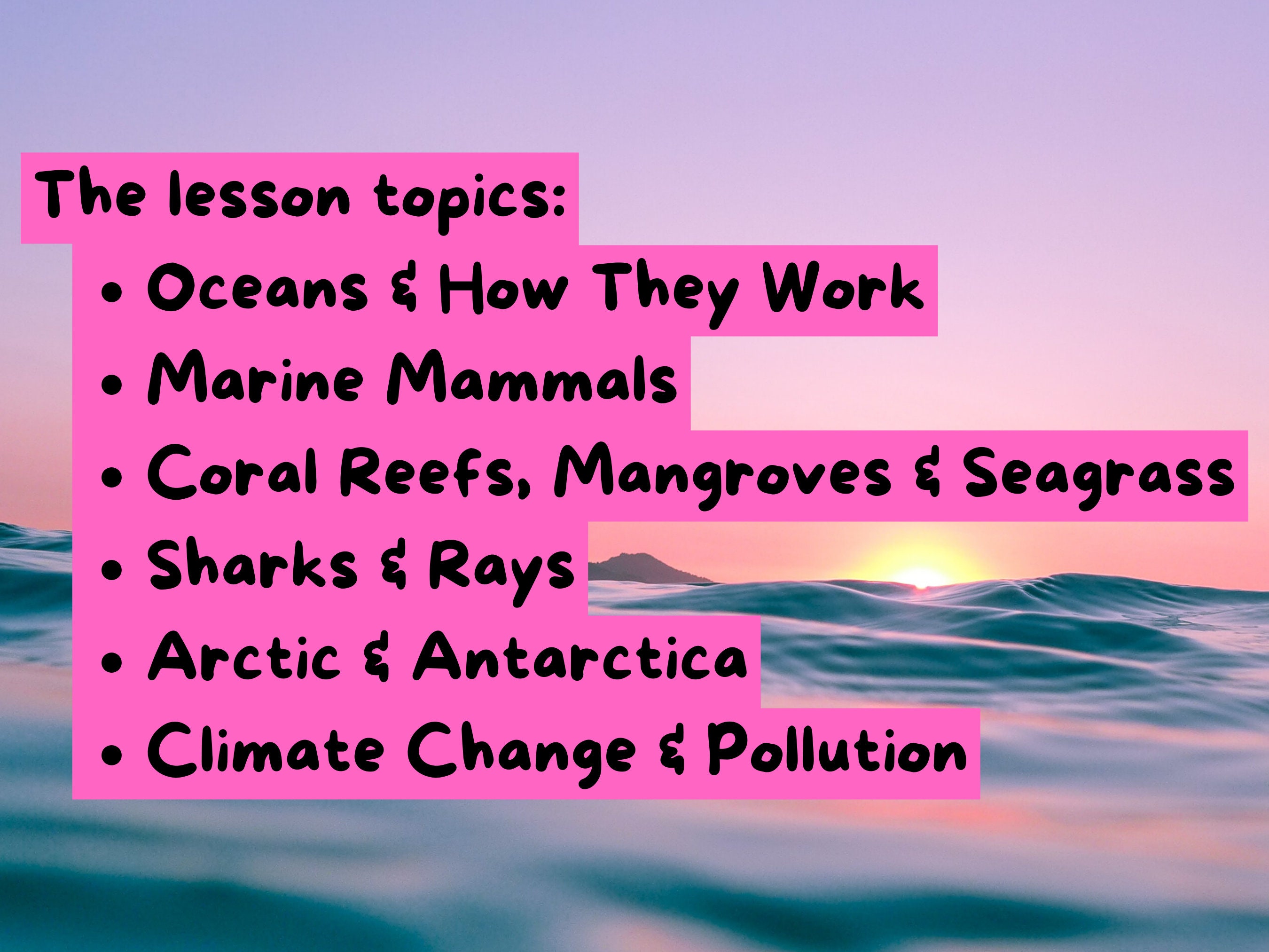 Marine Biology Home School Science Lessons: Ages 9-11 - Etsy