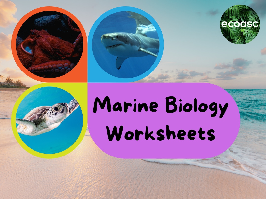 Marine Biology Worksheets - Etsy