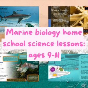 Marine Biology Home School Science Lessons: Ages 9-11 - Etsy