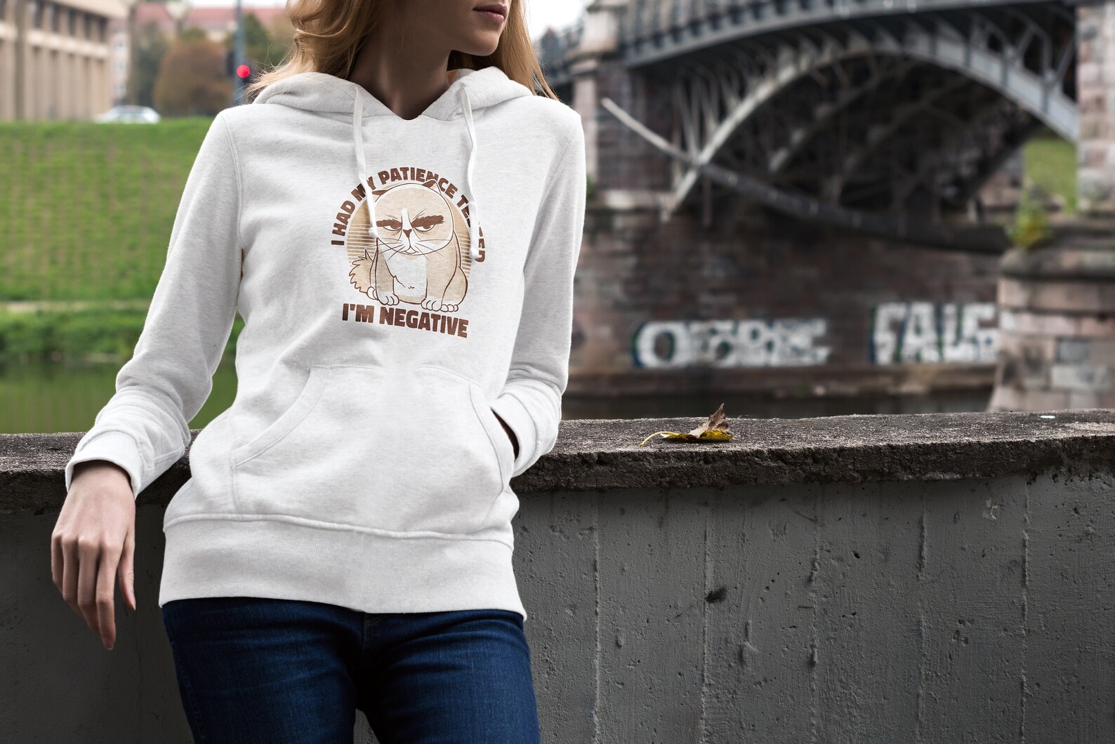Fun Grumpy Cat Sweatshirt Hoodie - I Had My Patience Tested, I'm ...