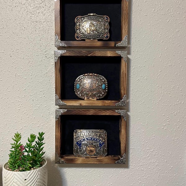 Rodeo Buckle Display - Etsy