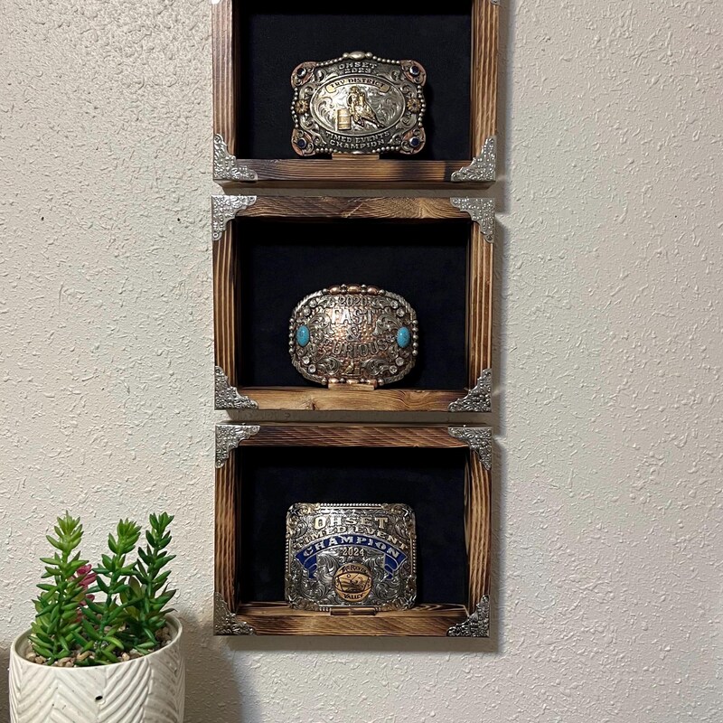 Rodeo Buckle Display - Etsy