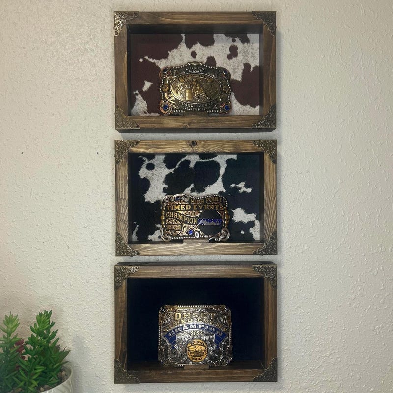 Rodeo Buckle Display - Etsy