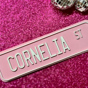 Cornelia St Swift Inspired Acrylic Home Decor, Swiftie Street Sign - Etsy