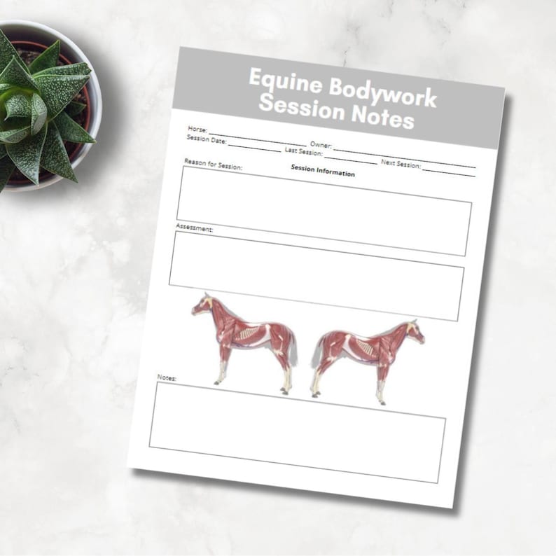 Equine Bodyworker Session Notes Template | Printable PDF | A4 Size - Etsy
