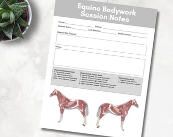 Equine Bodyworker Session Notes Template | Printable PDF | A4 Size - Etsy