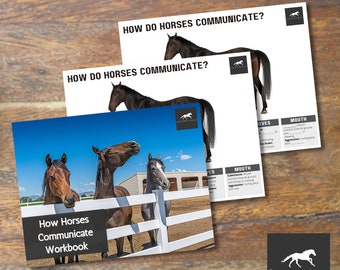 Horseback Riding Lesson Planning Guide Printable PDF A4 - Etsy