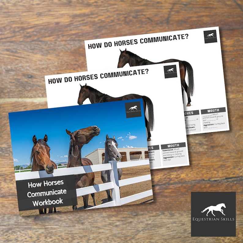 Horse Communication Workbook | Printable PDF | A4 Size - Etsy