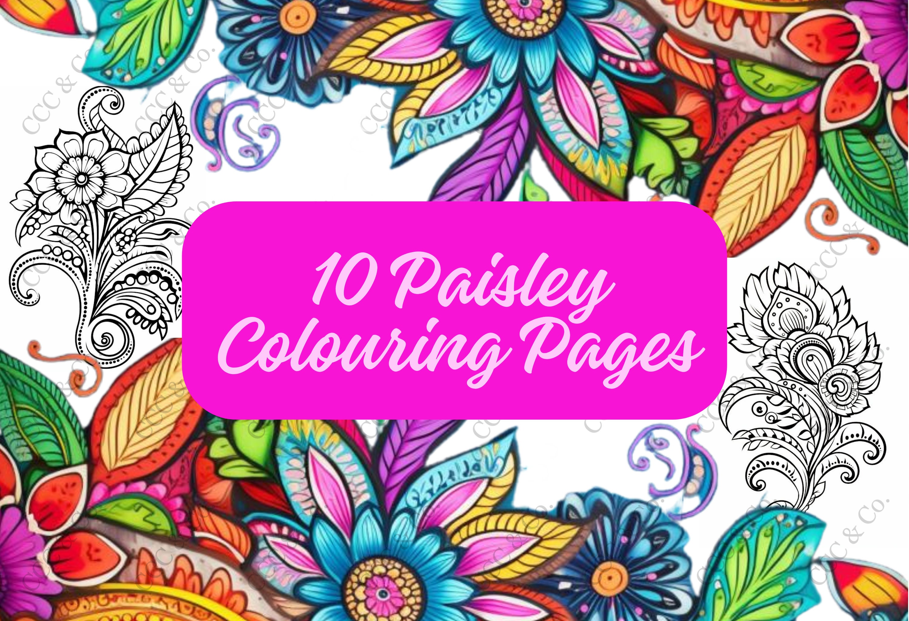 10 Paisley Inspired Colouring Pages 10 Digital Downloads Vol. 1 - Etsy