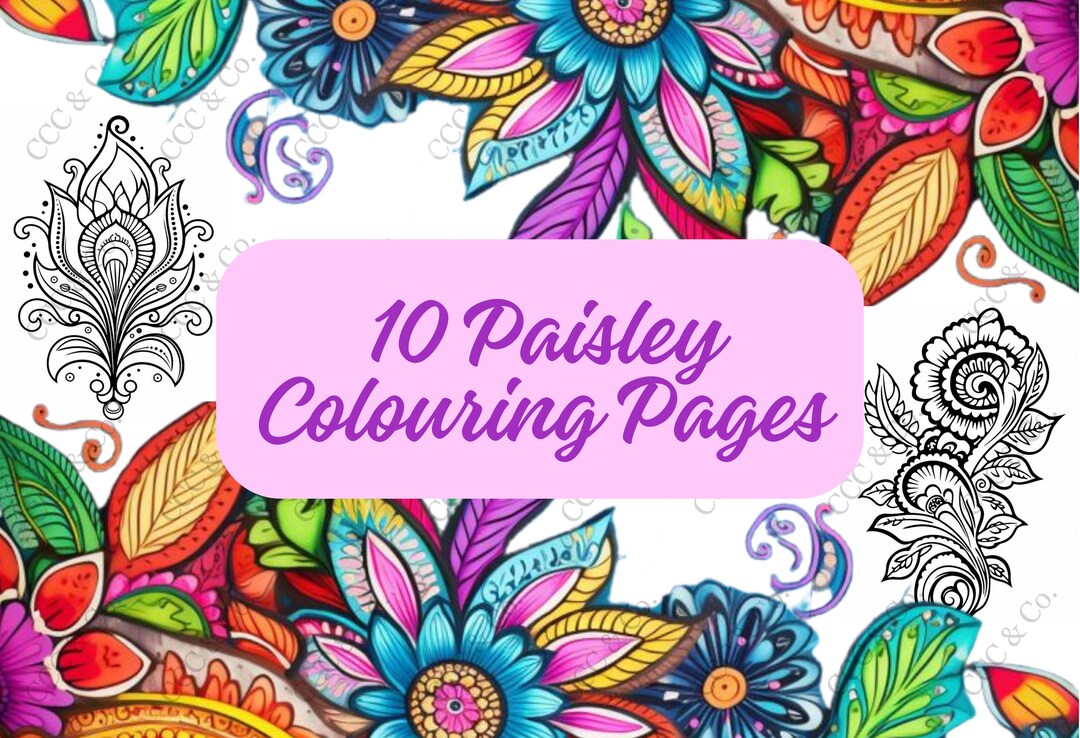10 Paisley Inspired Colouring Pages - 10 Digital Downloads - Vol. 2 - Etsy