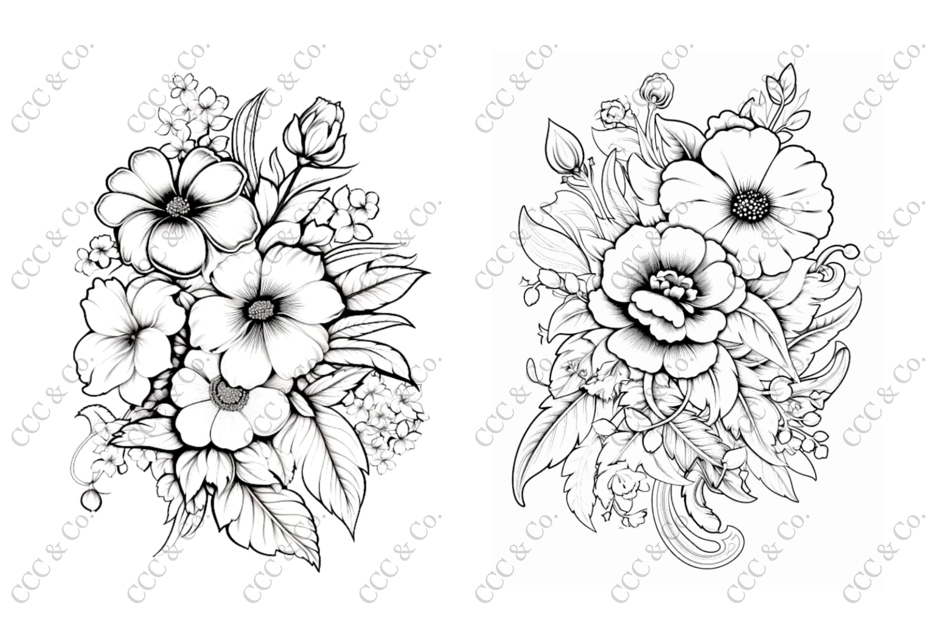 12 Floral Colouring Pages: Blooms & Blossoms - A Colouring Adventure - Etsy