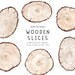 Original Watercolor Wood Slices, Wood Slice, Tree Clipart, Wooden Frame ...