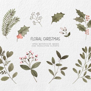 Christmas Floral Clipart, Christmas Plants, Mistletoe Clipart, Holly ...
