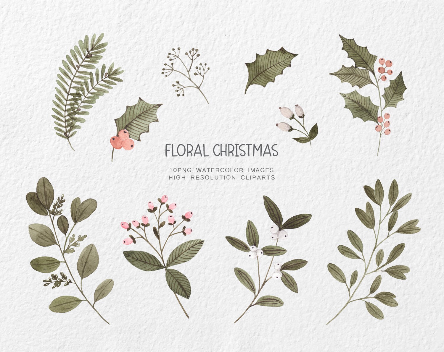 Christmas Floral Clipart Christmas Plants Mistletoe Clipart - Etsy