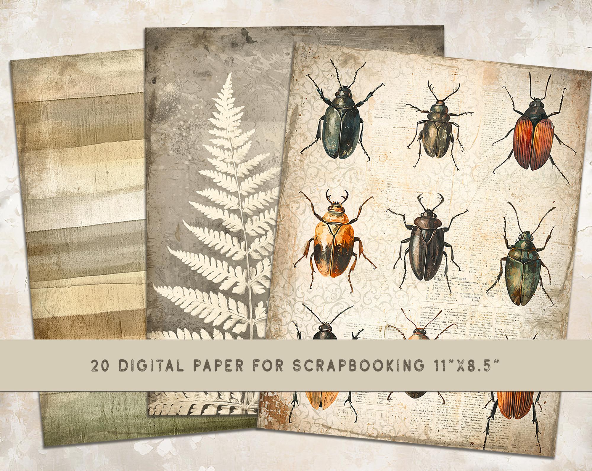 Botany & Bugs #2 Junk Journal Paper, Insects Scrapbooking, Botanical ...