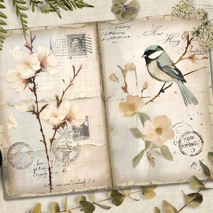Birds Junk Journal Kit, Spring Flowers Ephemera, Scrapbooking Paper ...