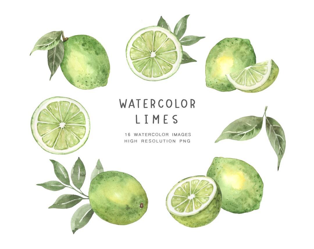 Limes Watercolor Clipart, Limes PNG, Fruits Clipart, Limes ...