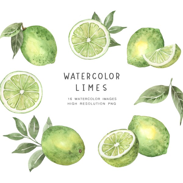 Lime Watercolor - Etsy