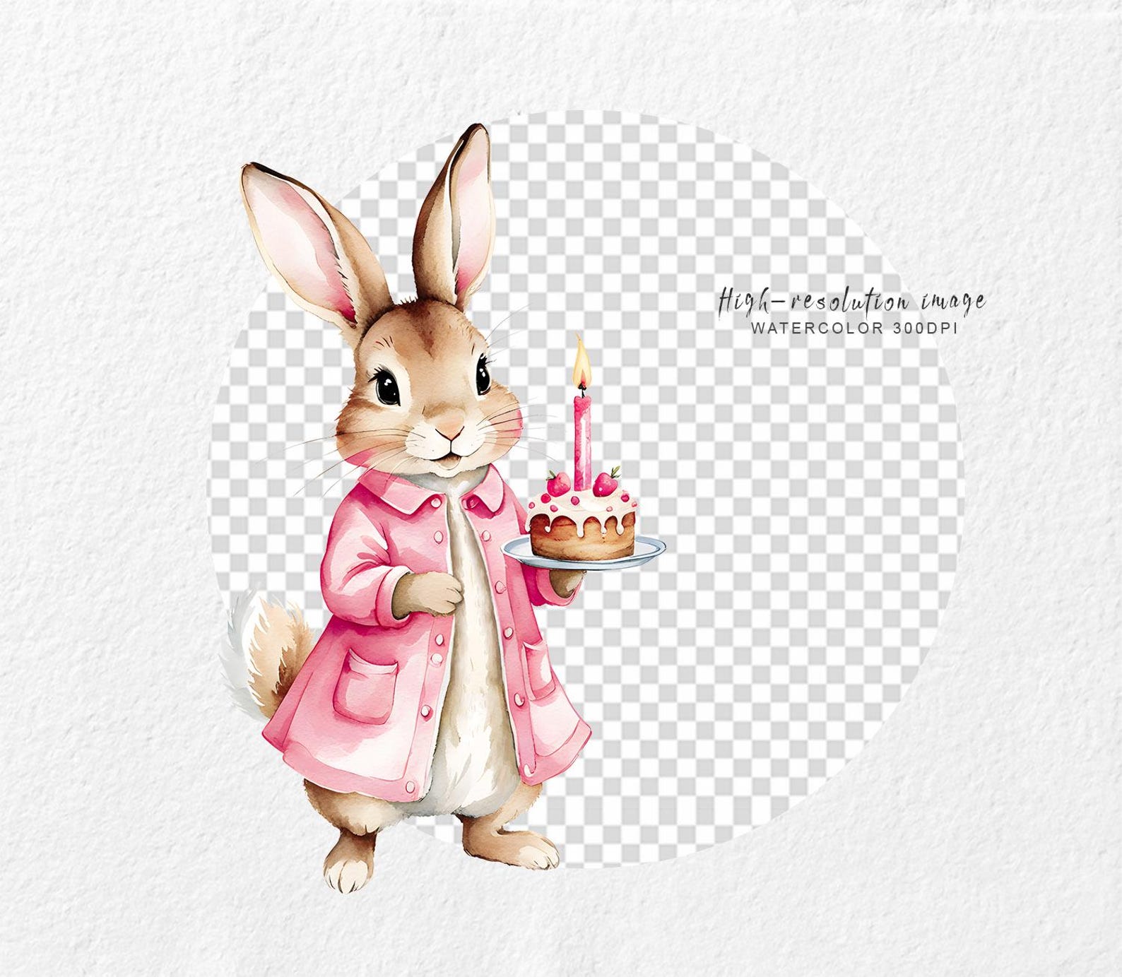 Flopsy Rabbit & Cake Cliparts PNG, Beatrix Potter Style, Peter Rabbit's ...
