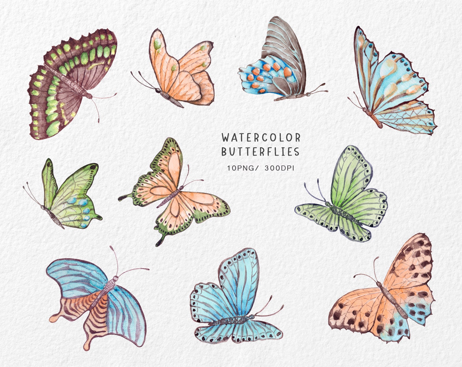 Butterfly Watercolor Clipart 10PNG Butterfly Set - Etsy
