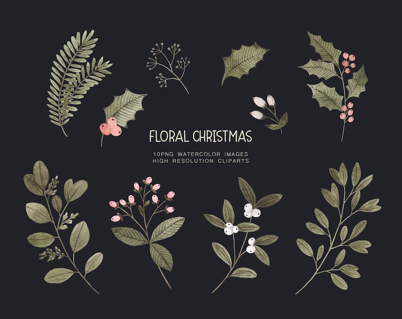Christmas Floral Clipart Christmas Plants Mistletoe Clipart - Etsy