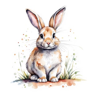 11 Cute Rabbit, Bunny Watercolor Clipart, Forest Animal, Card Making ...