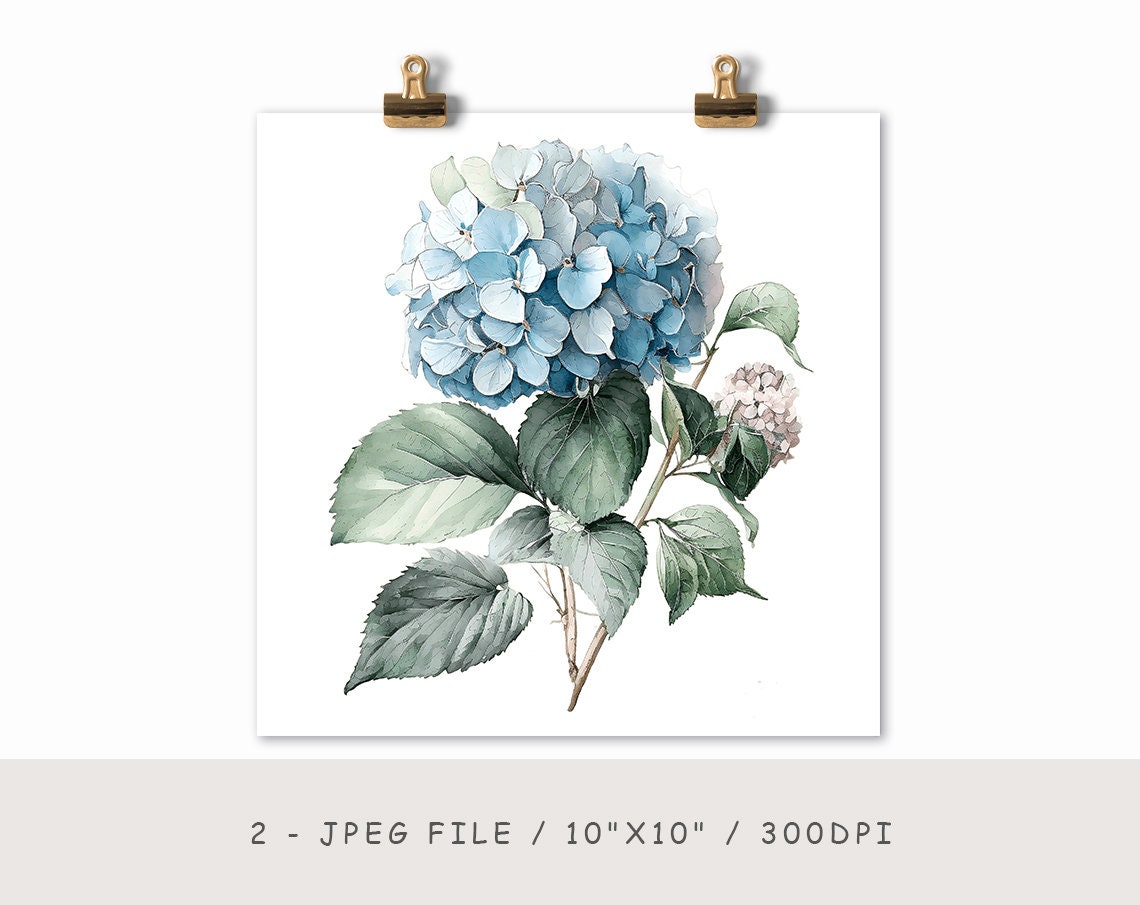 Hydrangea Print Blue Hydrangea Flower Drawing Hydrangea Wall - Etsy