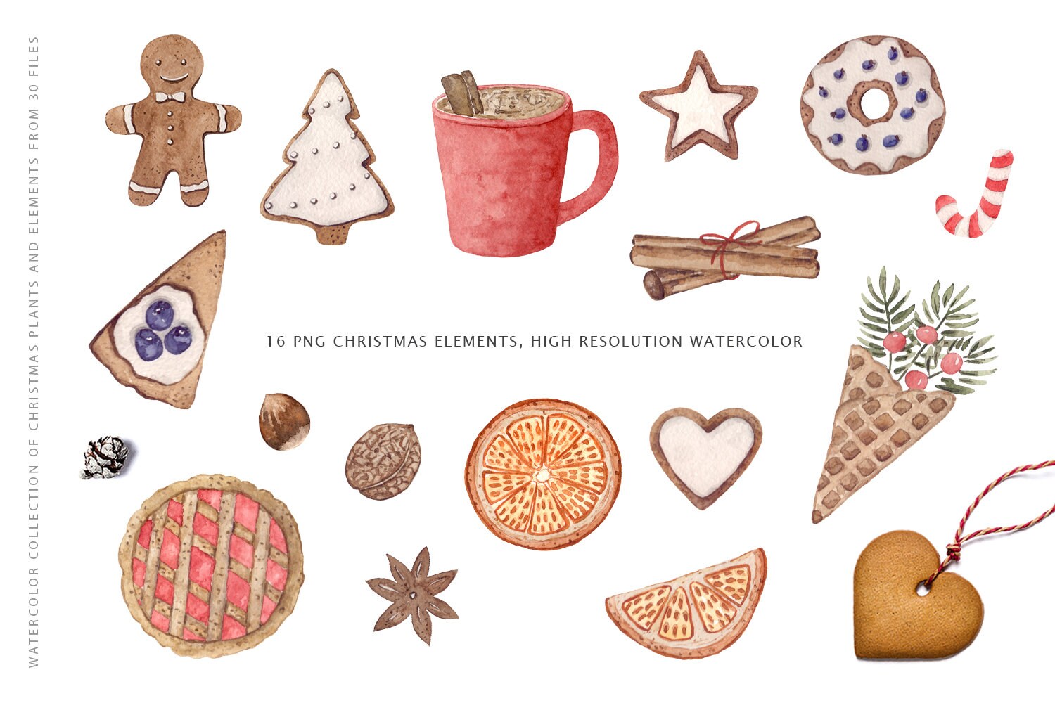 Watercolor Christmas Clipart 30PNG Christmas Floral - Etsy