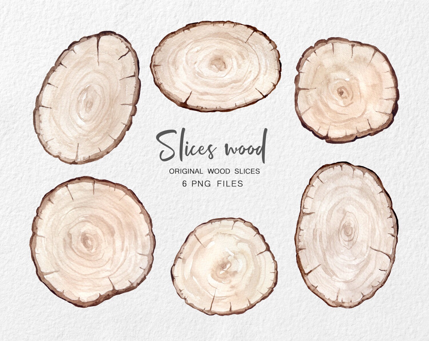 Original Watercolor Wood Slices, Wood Slice, Tree Clipart, Wooden Frame ...